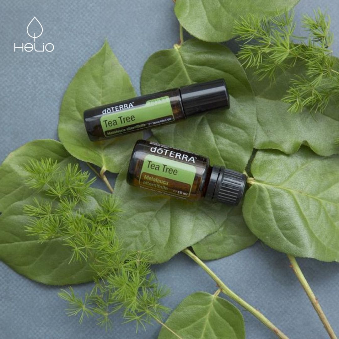 doTERRA Tea Tree: Reinigende en Beschermende Etherische olie